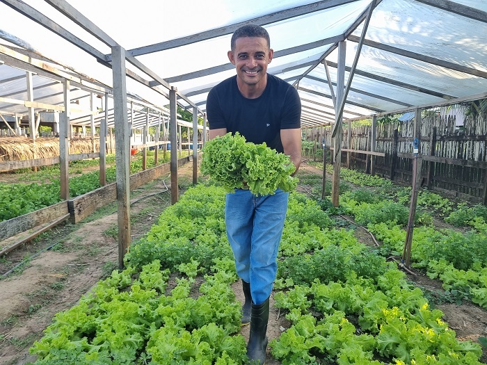 Verduras na Amazônia: pequeno produtor vai do desespero ao sucesso ...