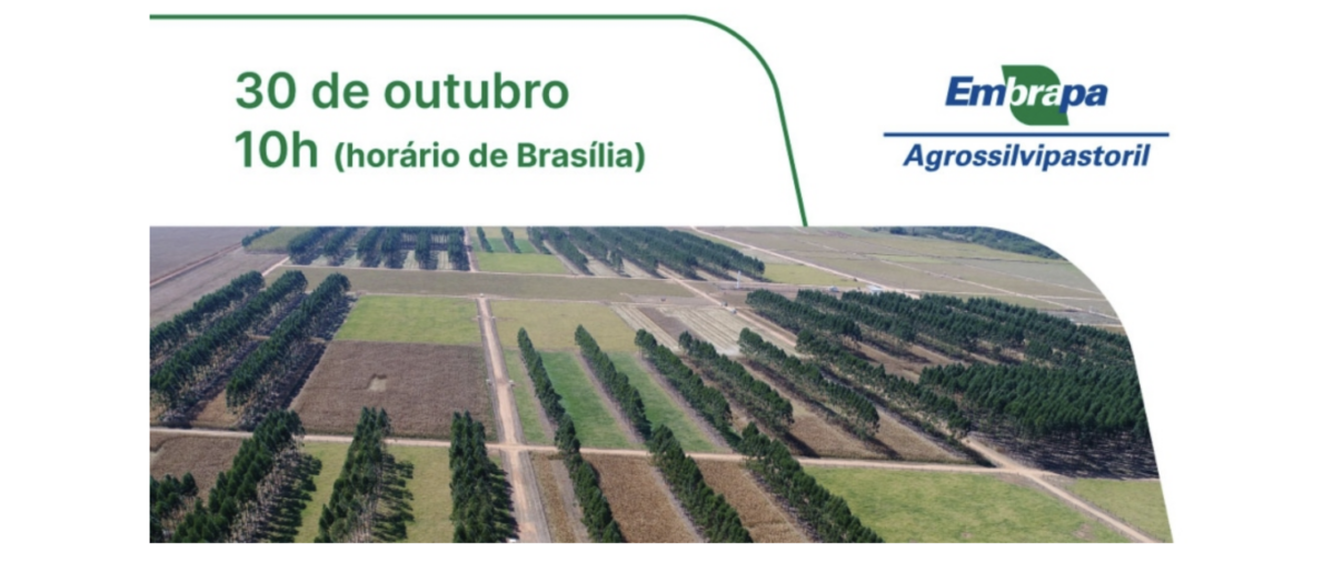 Embrapa apresenta oportunidade de patrocínio a iniciativa ILPF de ...
