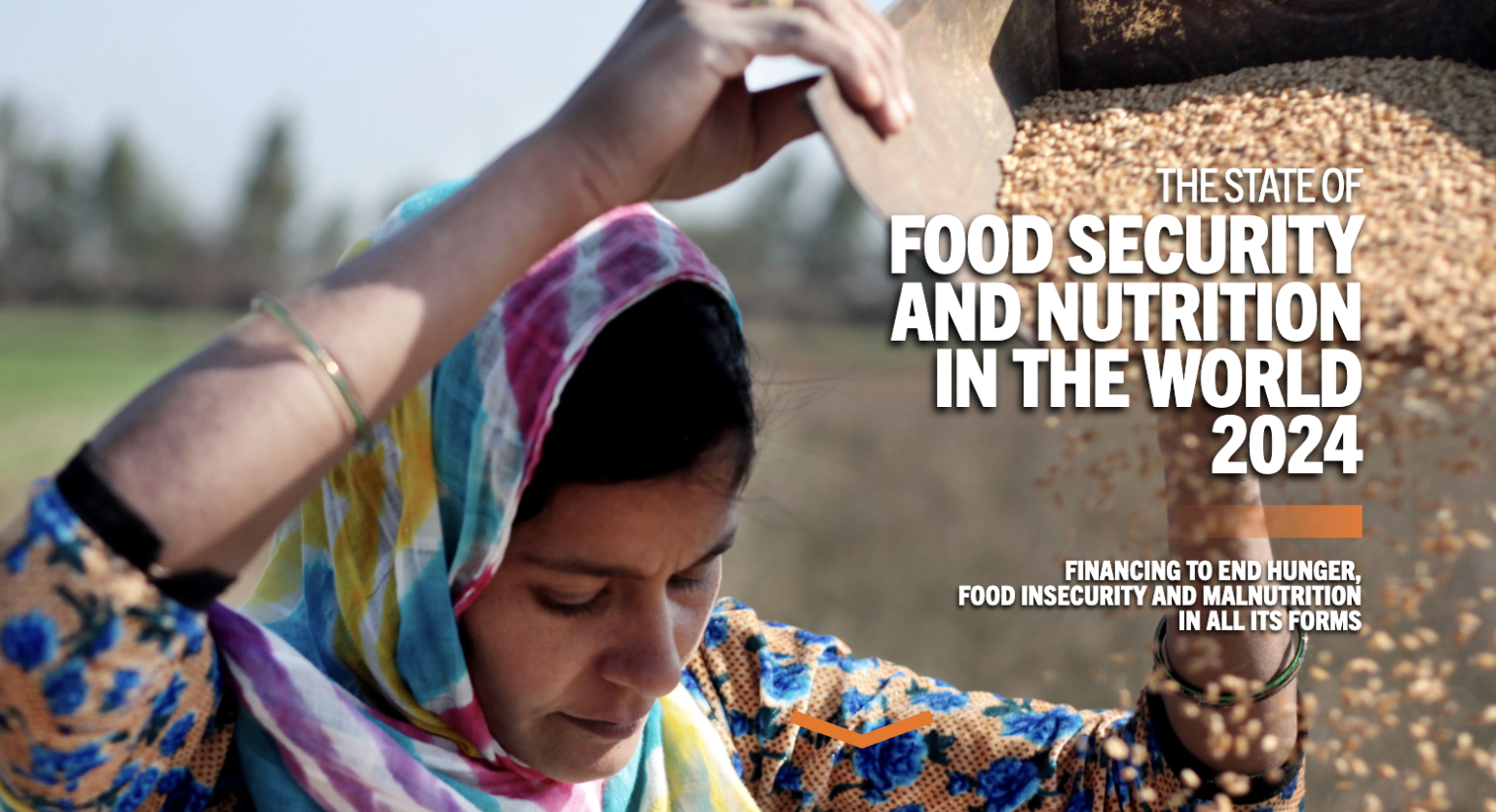 FAO destaca focos principais para o Dia Mundial da Alimentação - FOOD ...